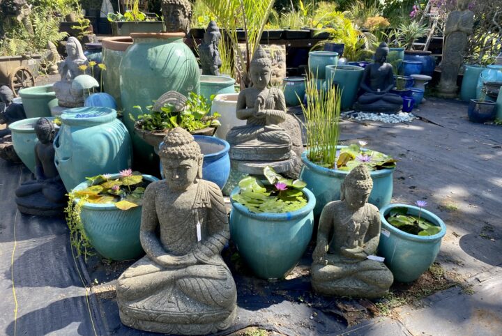 Moving Ponds and Operating in a Housing Crisis Garden Ponds Nursery